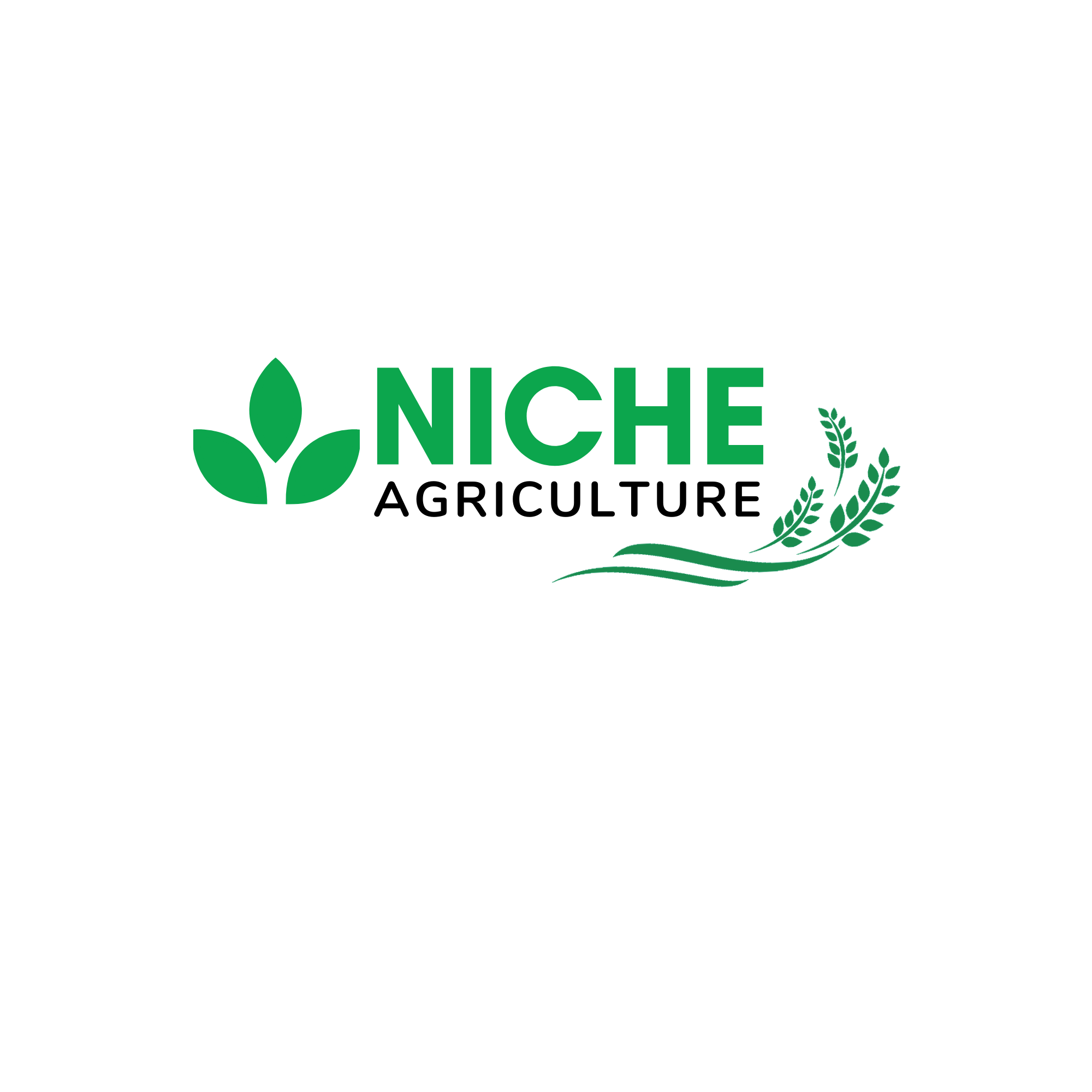 Agriculture Organic Farming Company In India Niche Agriculture agriculture-organic-farming-company-in-india-niche-agriculture