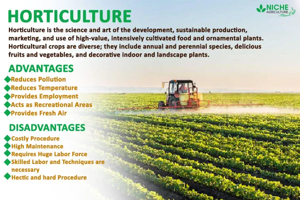 What Is Horticulture Benefits To Industry And Society What Is Horticulture Benefits To Industry And Society