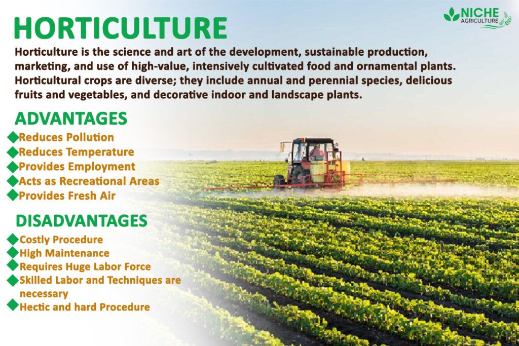 What Is Horticulture Benefits To Industry And Society What Is Horticulture Benefits To Industry And Society