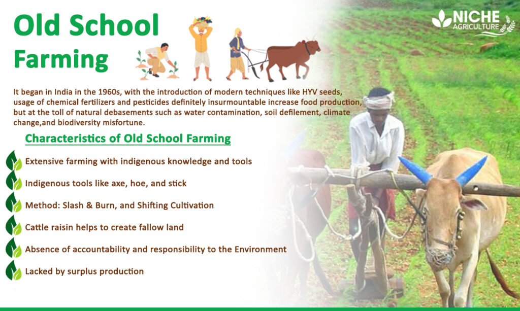 Old School Farming in India - Pros & Cons | Niche Agriculture
