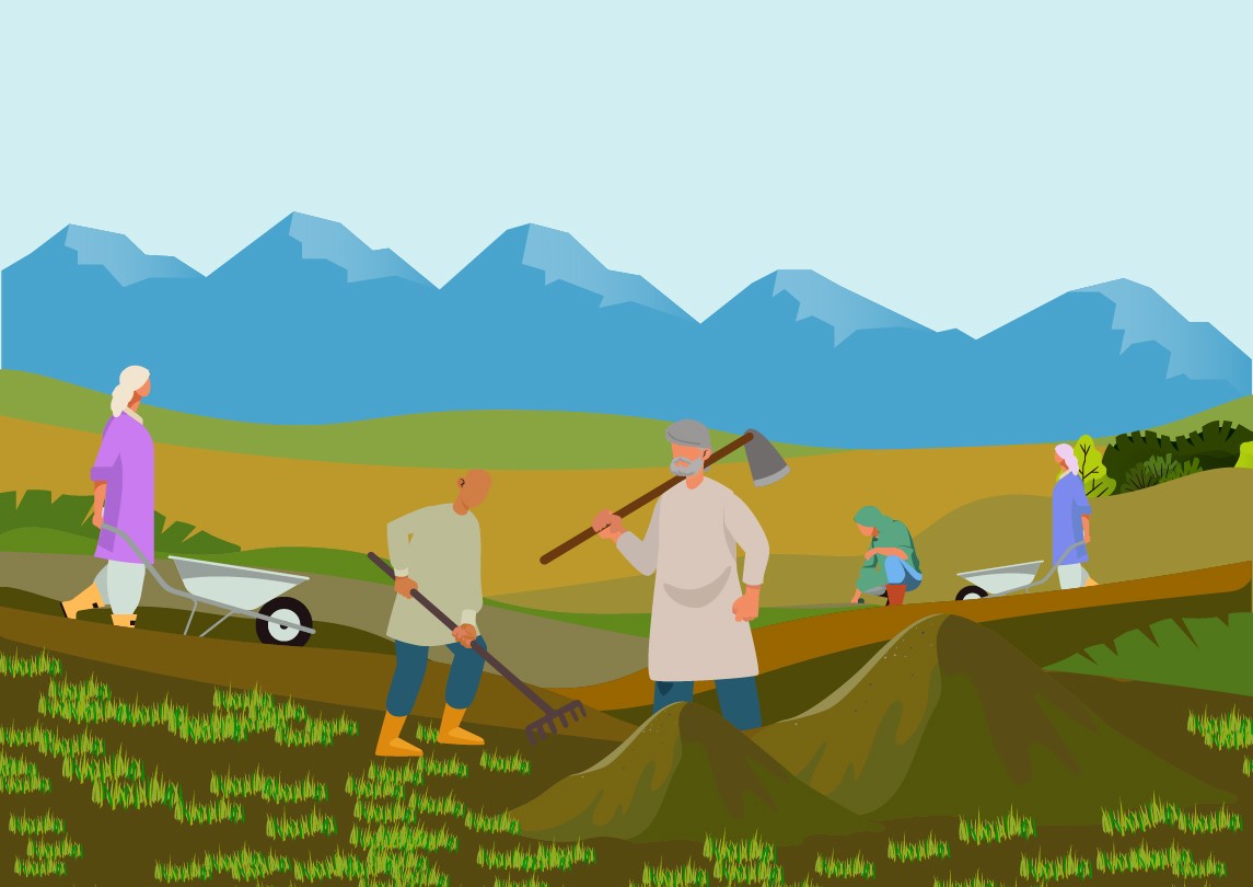 Local Cultivation for Heeng in India: Promoting Sustainable Agriculture