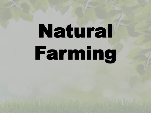 Natural Farming Definiton Uses | Zero Budget Farming