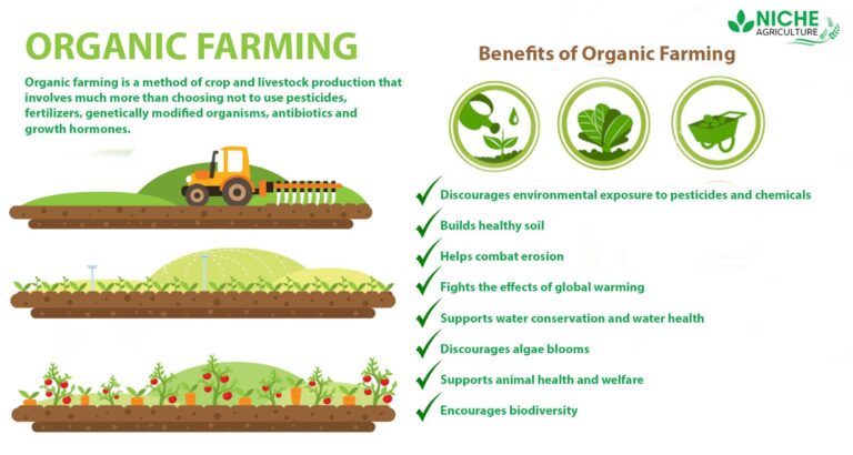 Introduction to Organic Farming