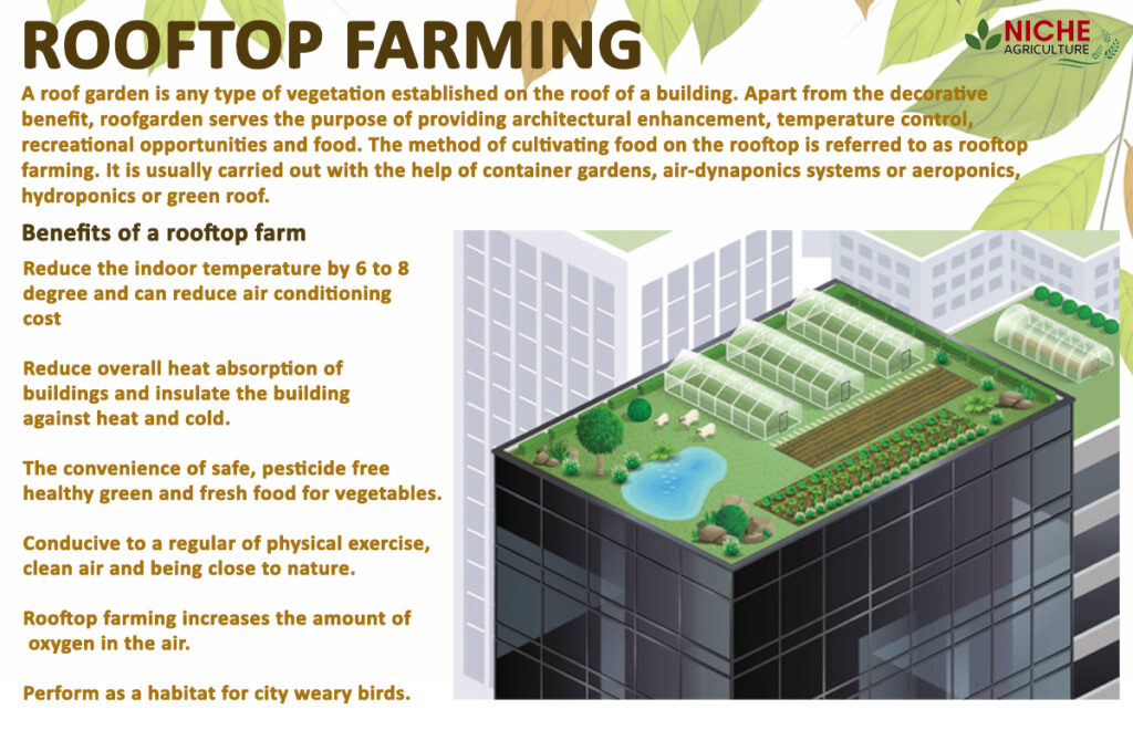Rooftop farming - Viable measure in the development of Agriculture