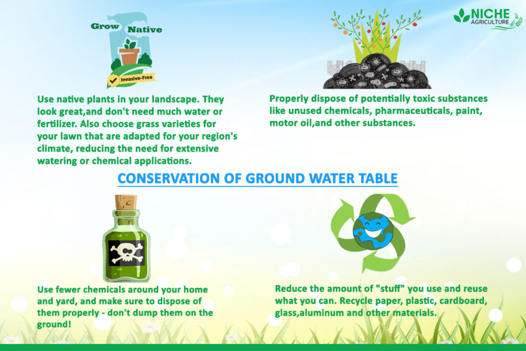 Conserving Underground Water Table | Niche Agriculture