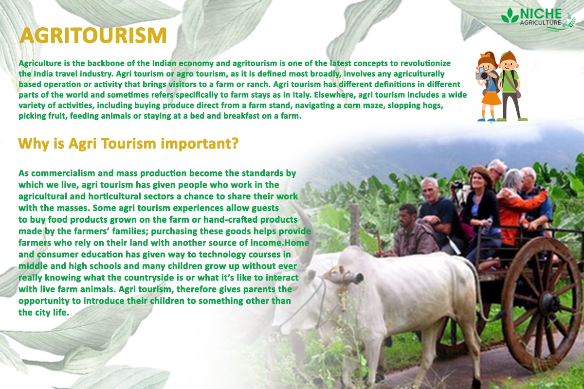 Agritourism- Backbone of India’s GDP - Niche Agriculture