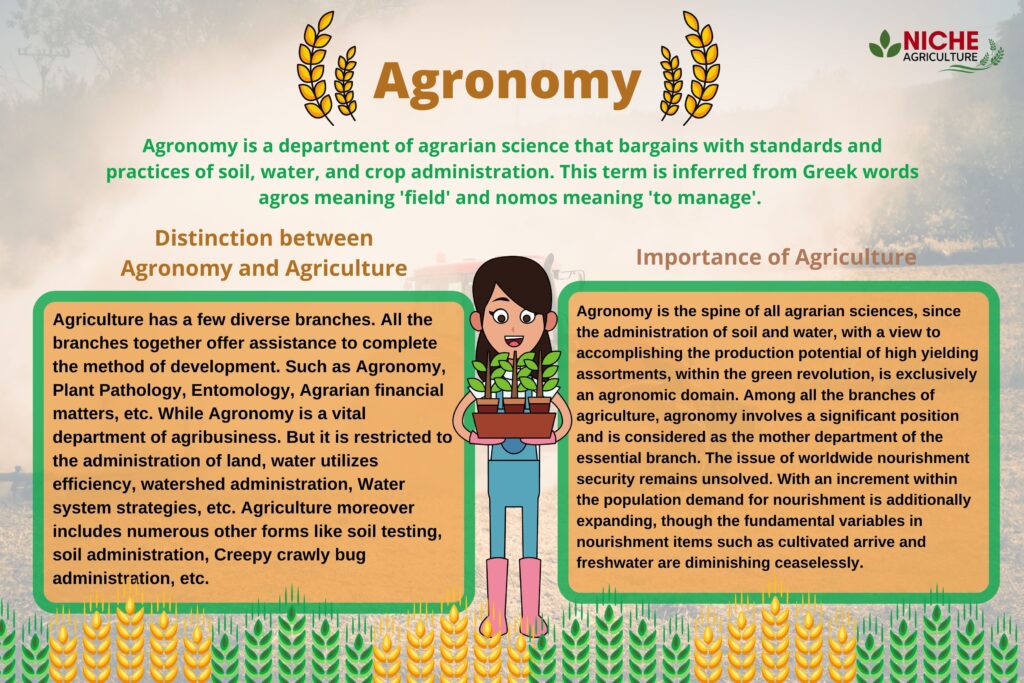 Agronomy- Branch of Agricultural Science - Niche Agriculture