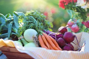 Organic Farming of Vegetables