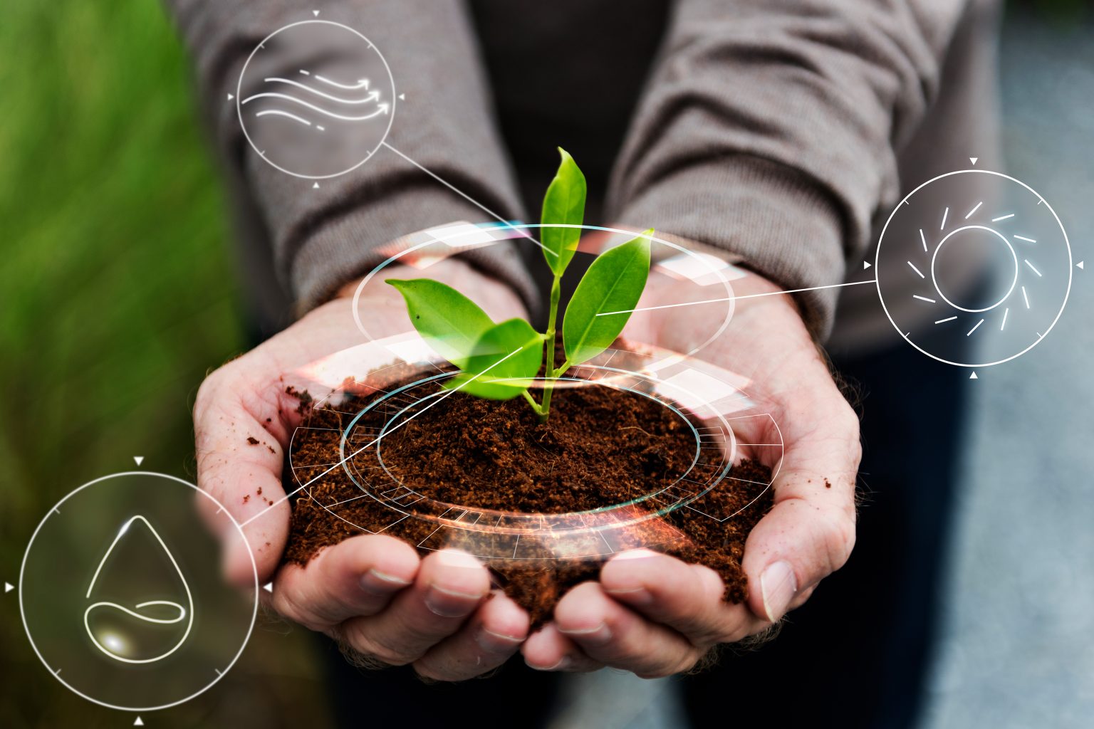 Harvesting Success: 11 Best Resources for Agriculture