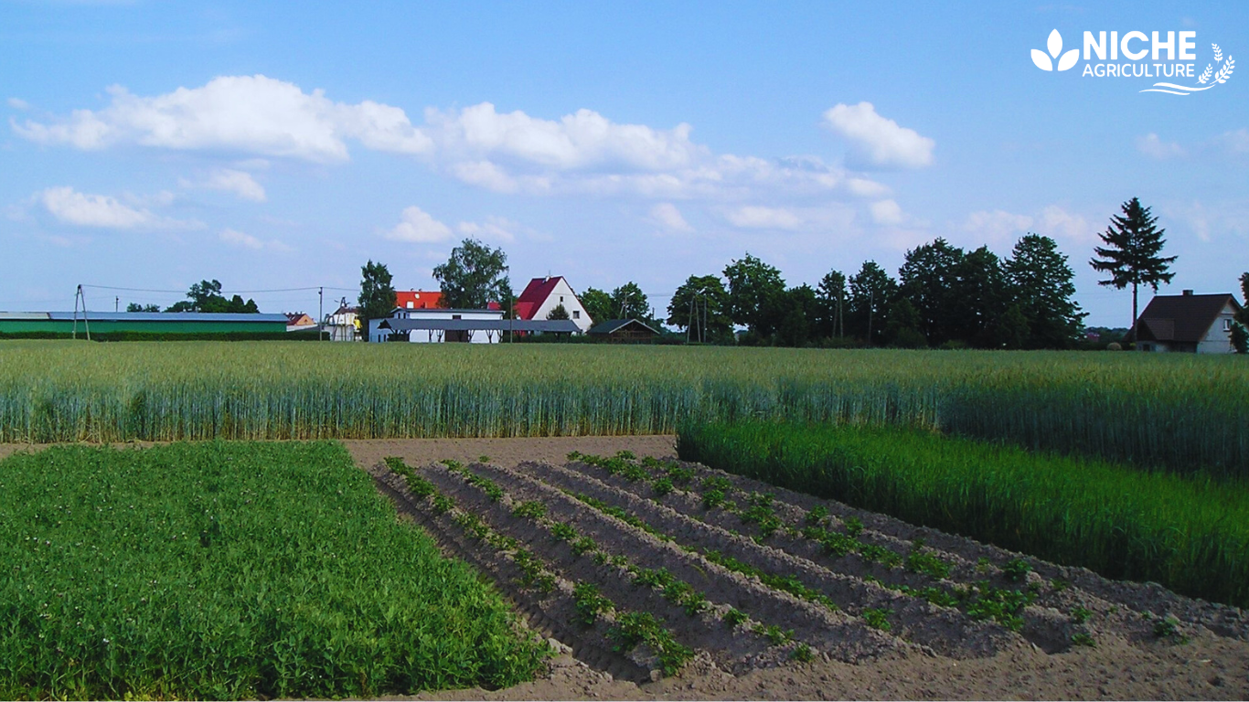 Exploring the Three-Field System: A Comprehensive Guide