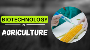 Biotechnology in Agriculture for Improving Crop Yields and Sustainability