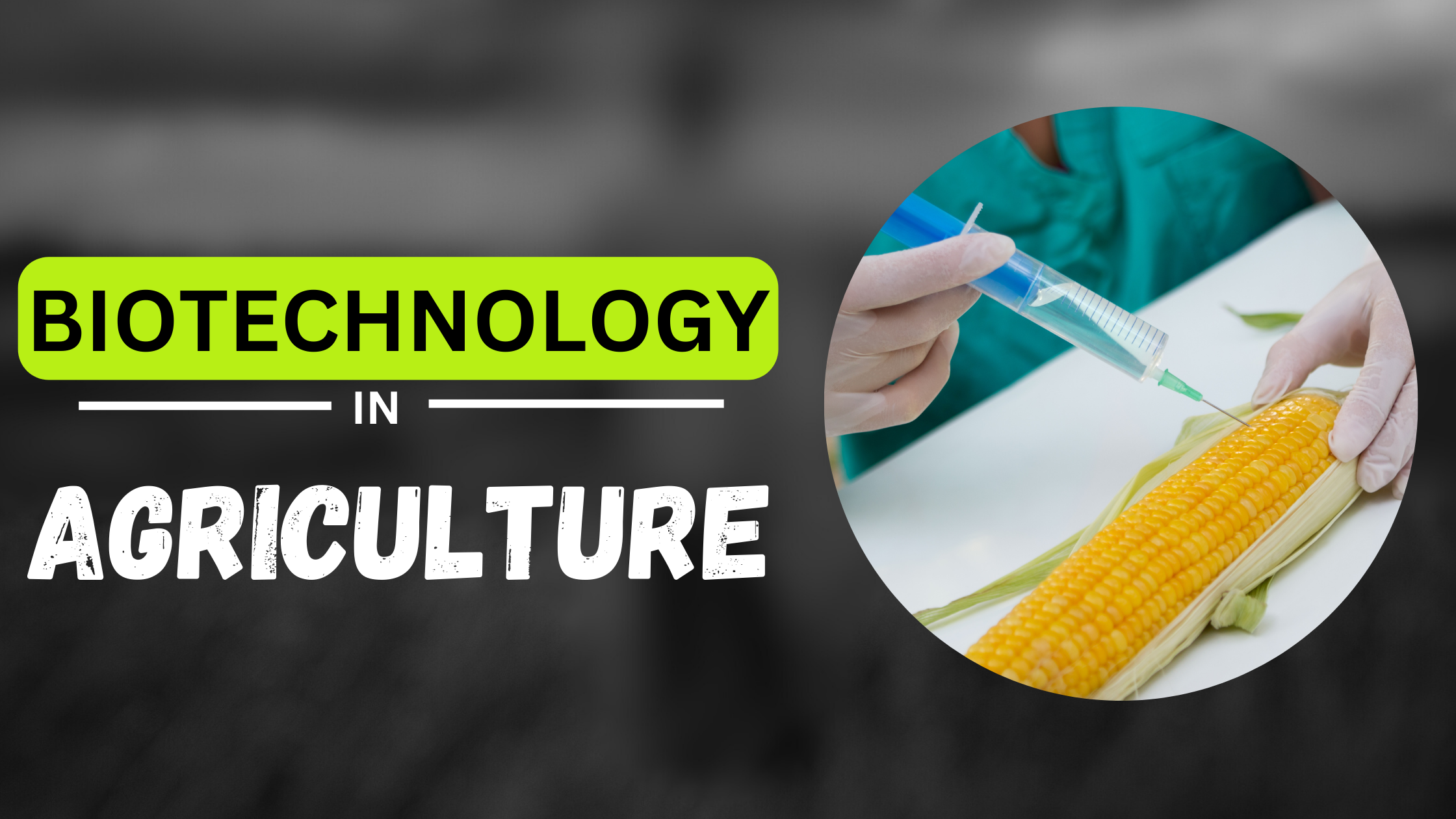 Biotechnology In Agriculture Upsc