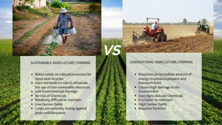 How Does Sustainable Agriculture Differ from Conventional Agriculture?