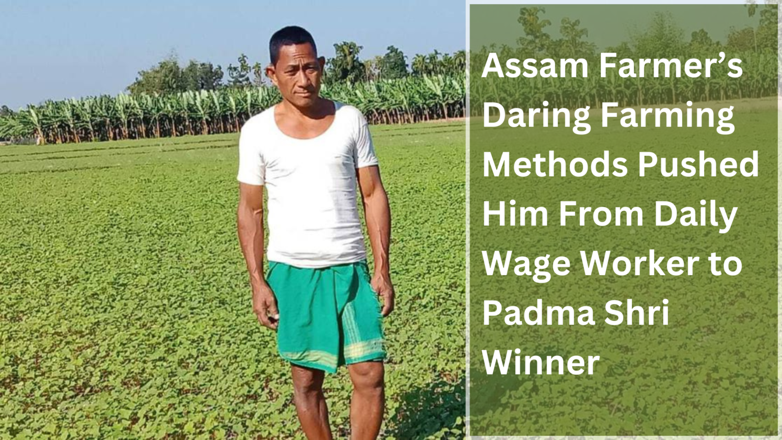 Assam Farmer’s Daring Farming Methods Pushed Him From Daily Wage Worker ...